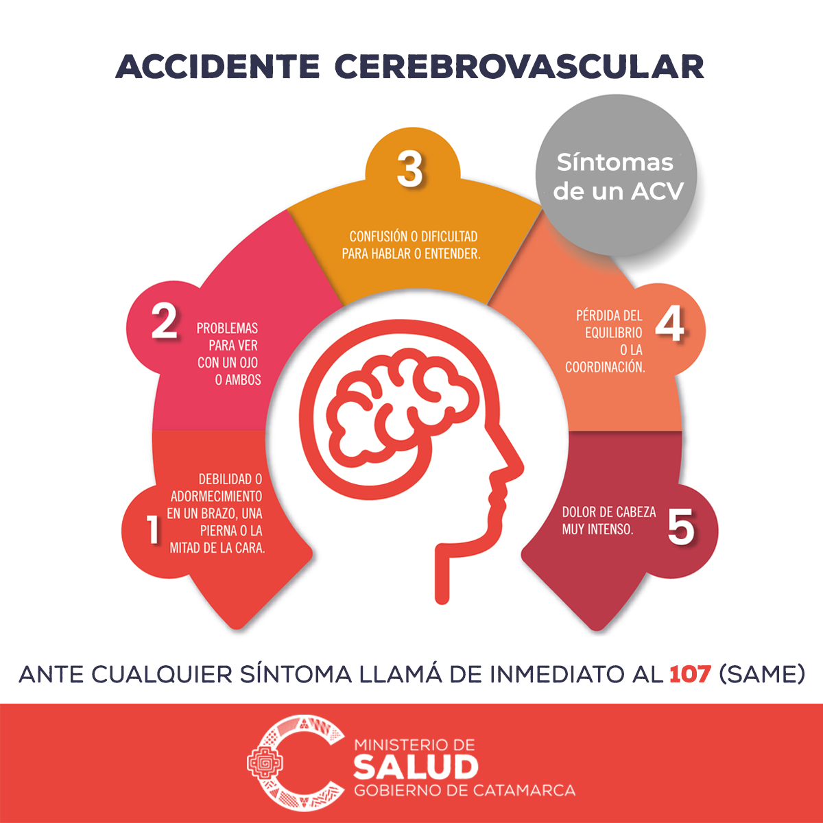 Día Mundial de la Lucha Contra el ACV - La Unión Digital