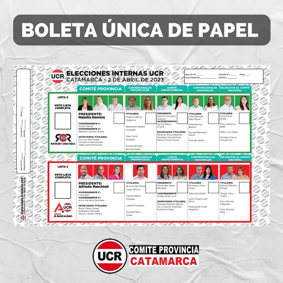 Los afiliados de la UCR eligen a sus autoridades para el periodo 2023 ...