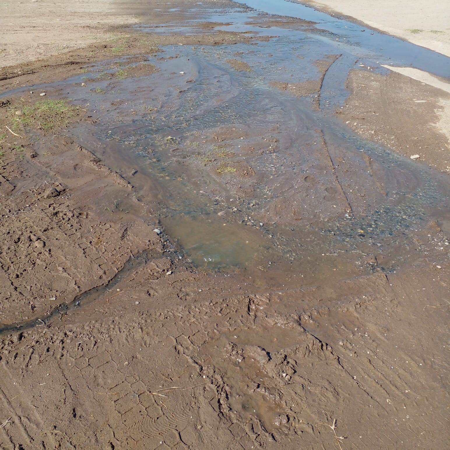 Reclamo ciudadano: "Hace 10 días que aguantamos el olor a podrido" - La ...
