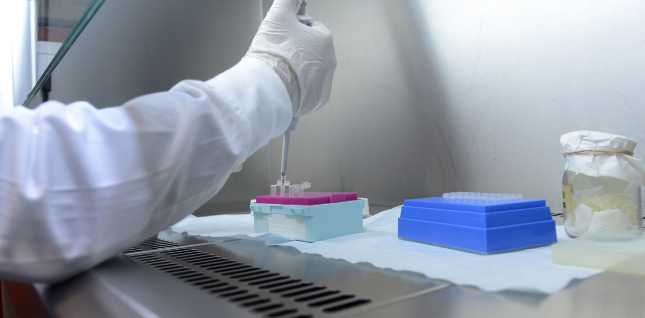 Streptococcus pyogenes: ya hay una muerte por día y se acelera la suba ...