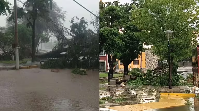 Techos volados, árboles caídos y calles inundadas: un fuerte temporal ...