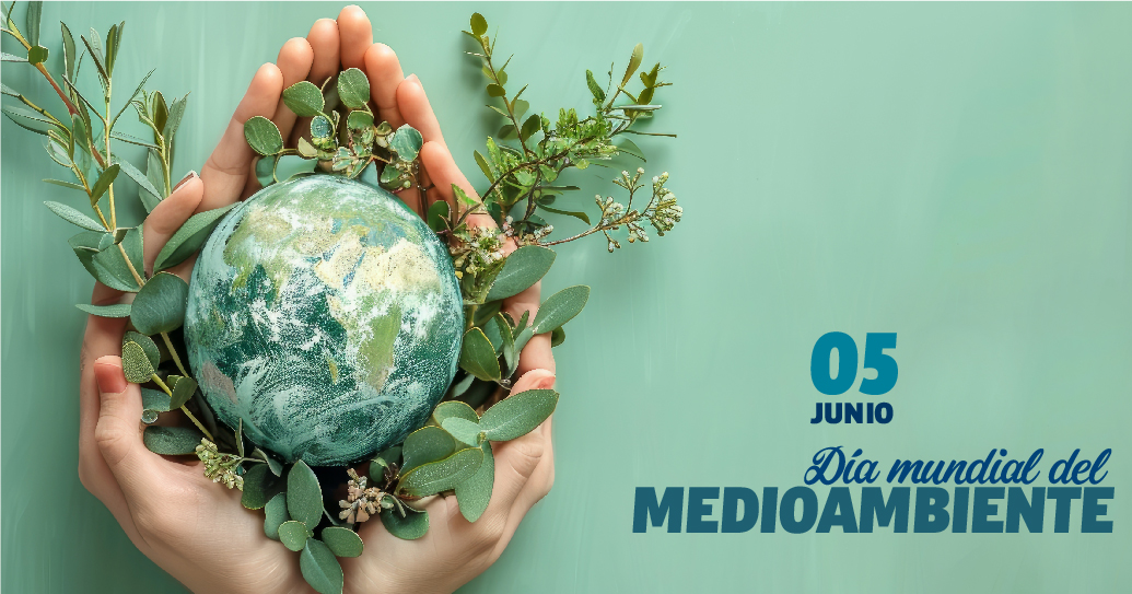 Día Mundial del Medio Ambiente: por qué se celebra y cuál es el lema ...