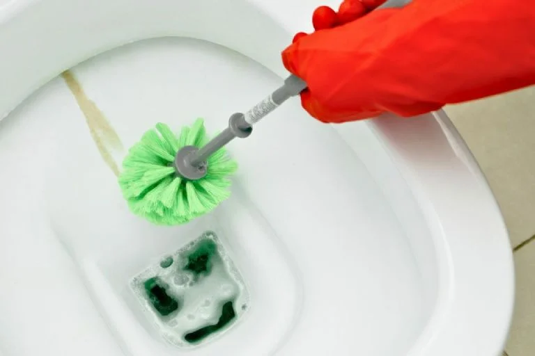 El truco infalible para eliminar el sarro del inodoro - La Unión Digital