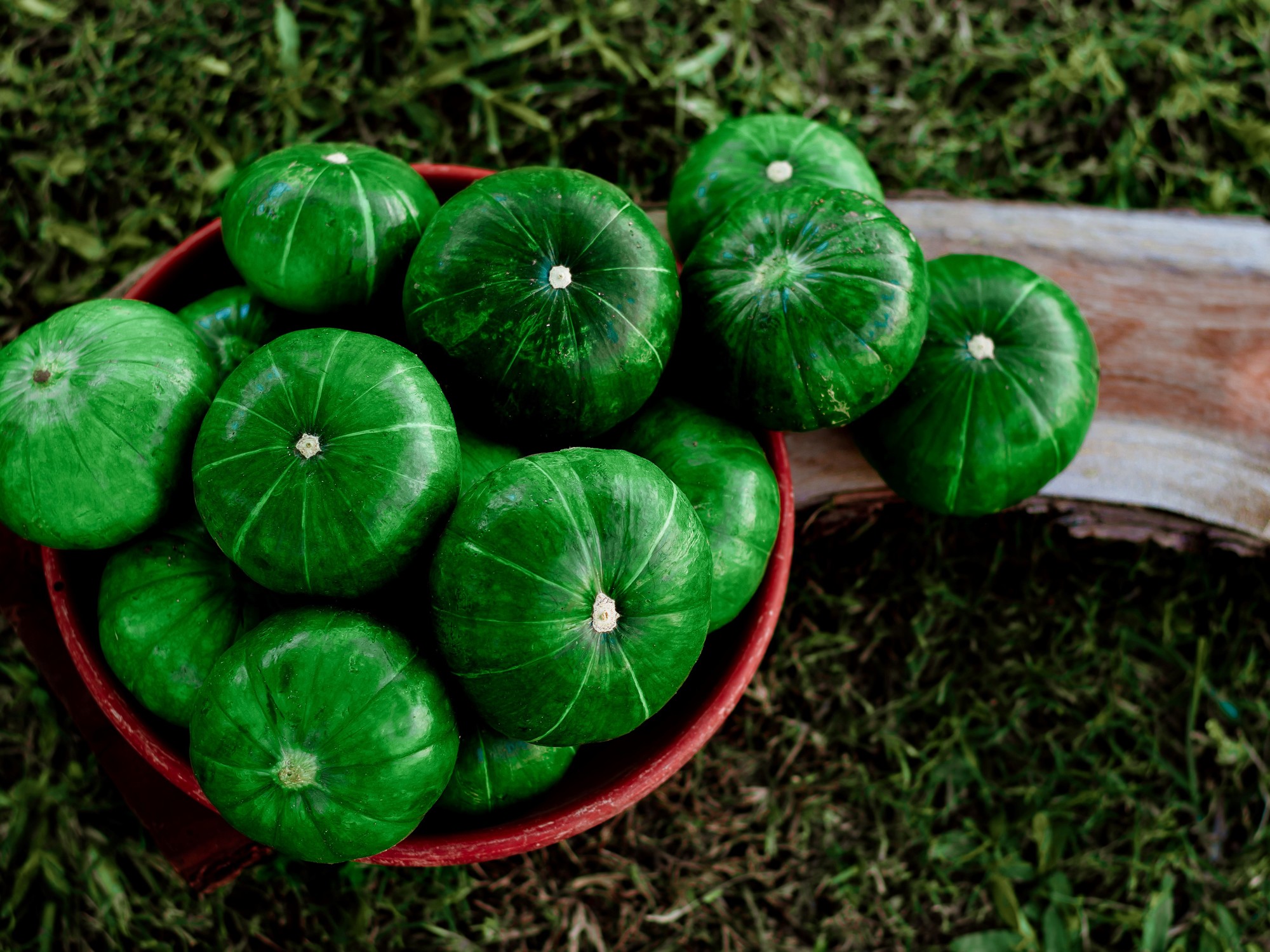 Tres recetas fáciles y ricas para aprovechar los zapallitos verdes - La ...