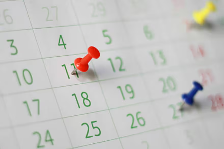 Feriados 2026: cuándo es el próximo fin de semana largo de 4 días en la ...