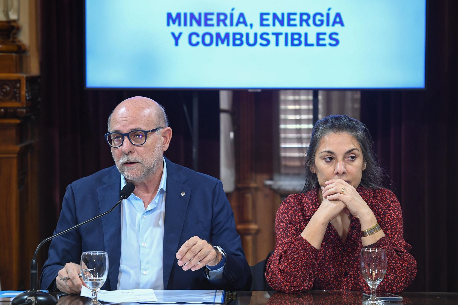 Ratificaron a Fama como presidente de Minería - La Unión Digital