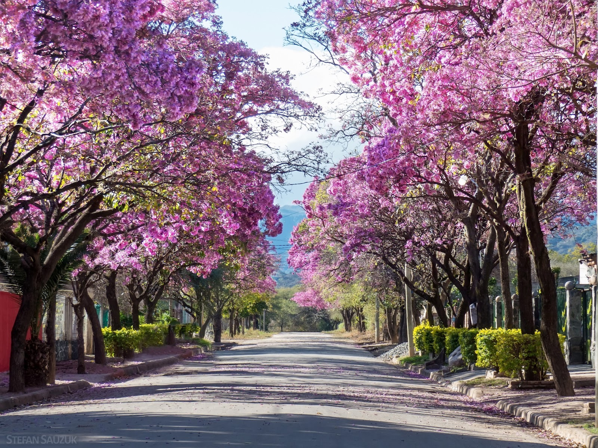 Comienza oficialmente la primavera y así va a estar el clima - La Unión ...